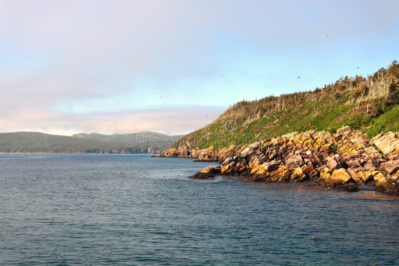 Shore view stock image. Image of waves, ocean, wind, north - 43153319