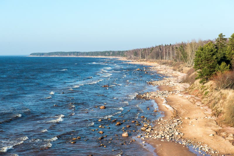 Shoreline of Baltic Sea Beach with Rocks and Sand Dunes Stock Photo ...