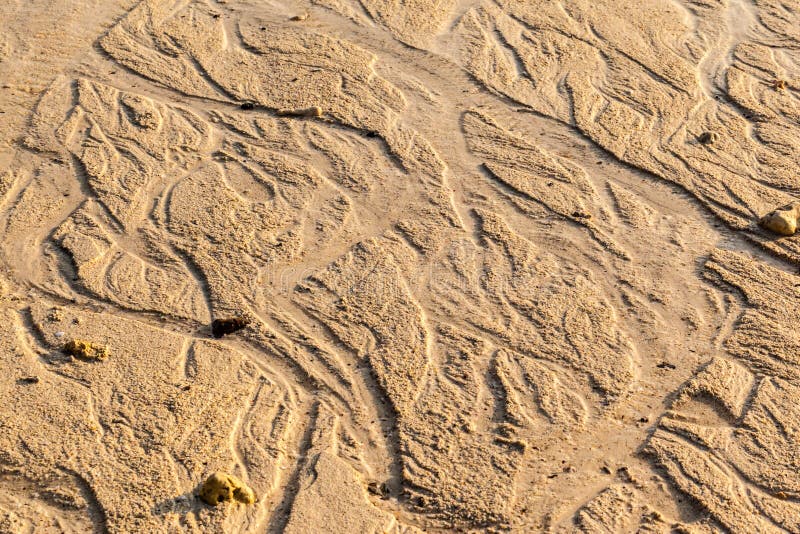 Shoreline with silt stock photo. Image of summer, closeup - 50579766