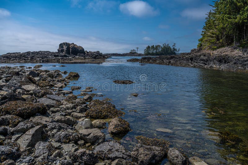 Shoreline in Front of Vancouver Island Stock Image - Image of tourism ...