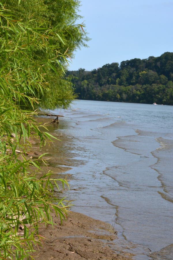 Shoreline of the Ohio River Stock Photo - Image of trees, litters ...