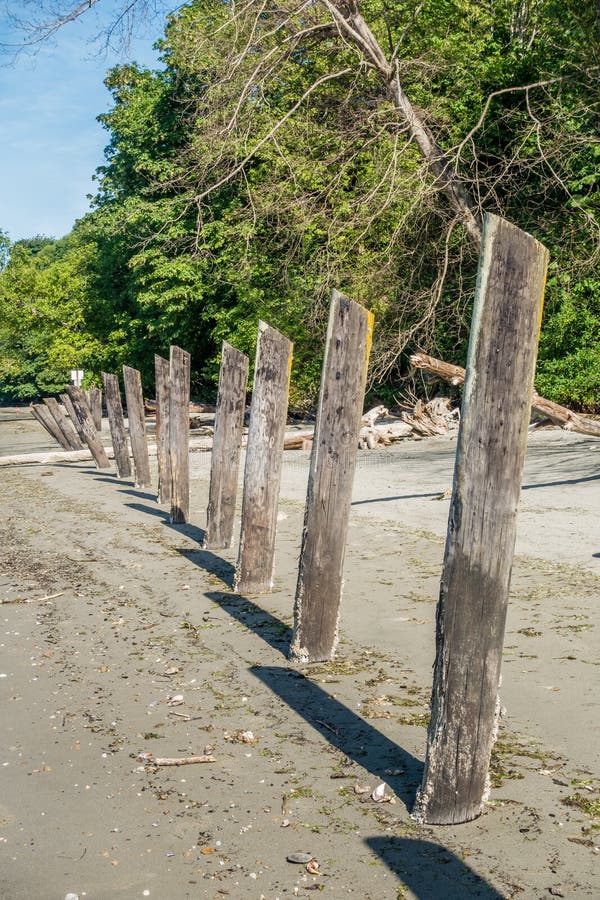 Shoreline Posts 6 stock image. Image of point, posts - 71771945