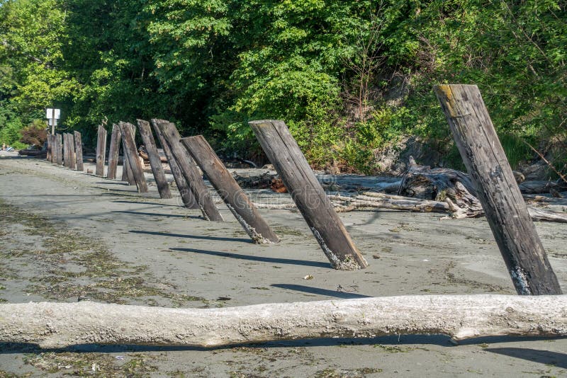 Shoreline Posts 7 stock image. Image of posts, architecture - 71772153