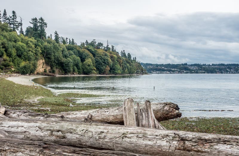 Shoreline at Saltwater State Park Stock Photo - Image of landscape ...