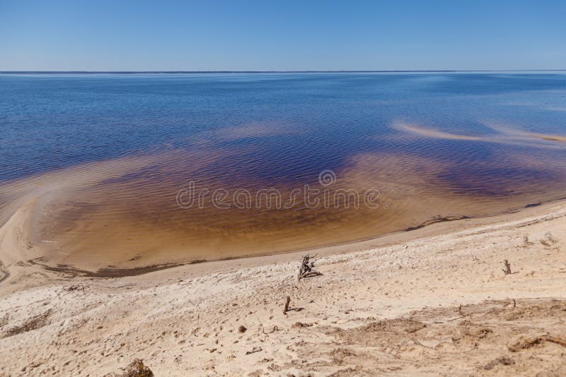 Shoreline with a sandy stock photo. Image of lake, america - 117004294