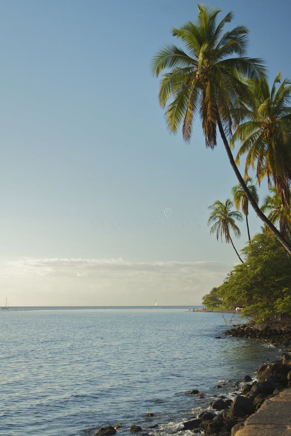 Shoreline View from Lahaina Stock Image - Image of landscape, water ...