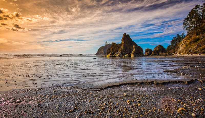 Shoreline Views at Ruby Beach Stock Photo - Image of beach, stacks ...