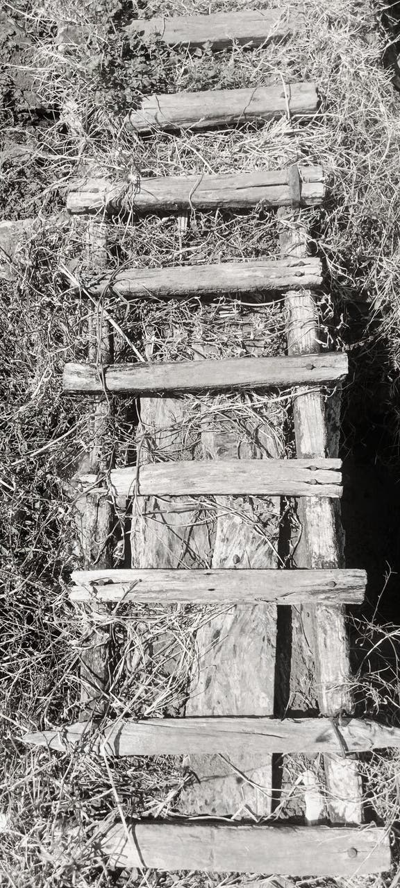 A short bridge from bamboo stock image. Image of bamboo - 327516497