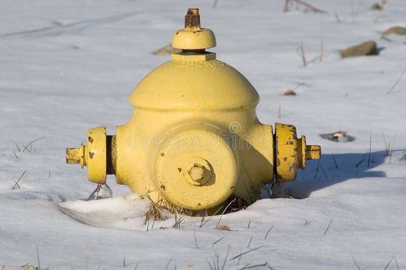 Short Fireplug Stock Photos - Free & Royalty-Free Stock Photos from ...