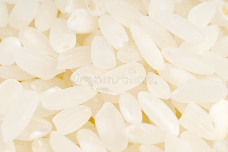Short Grain Rice stock photo. Image of uncooked, texture - 8370628
