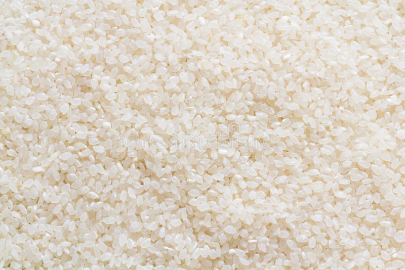 Short Grain Rice stock photo. Image of closeup, background - 61169042