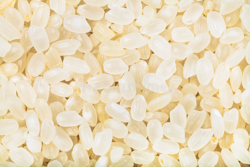 Carnaroli rice stock image. Image of italian, food, agriculture - 34386275