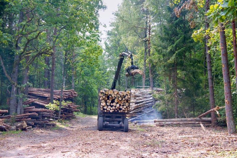 Short Log Truck, Timber Truck, Loading Logs in the Forest, Manipulator ...