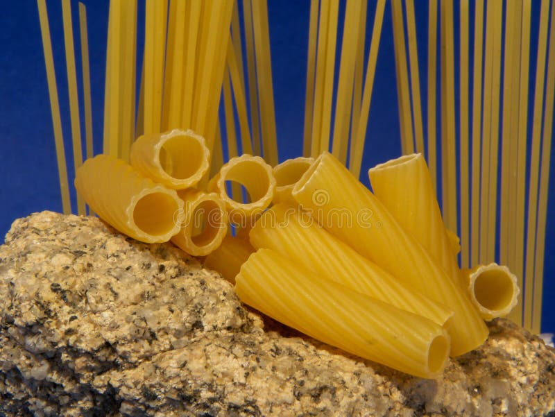 Short pasta stock photo. Image of nourish, barley, italy - 51371992