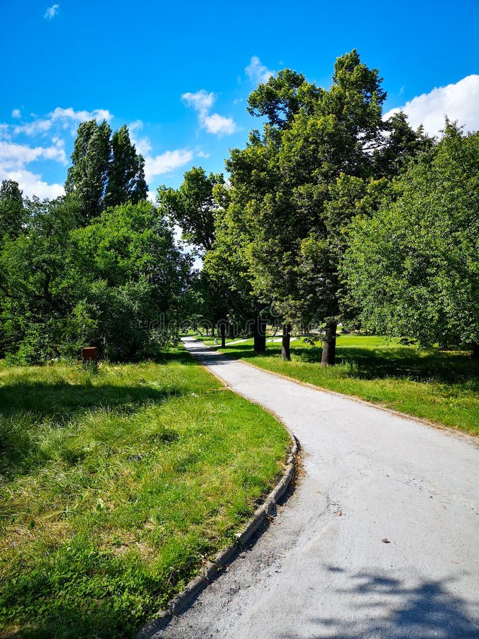 Short Path between Bushes and Trees in Small Park Stock Image - Image ...