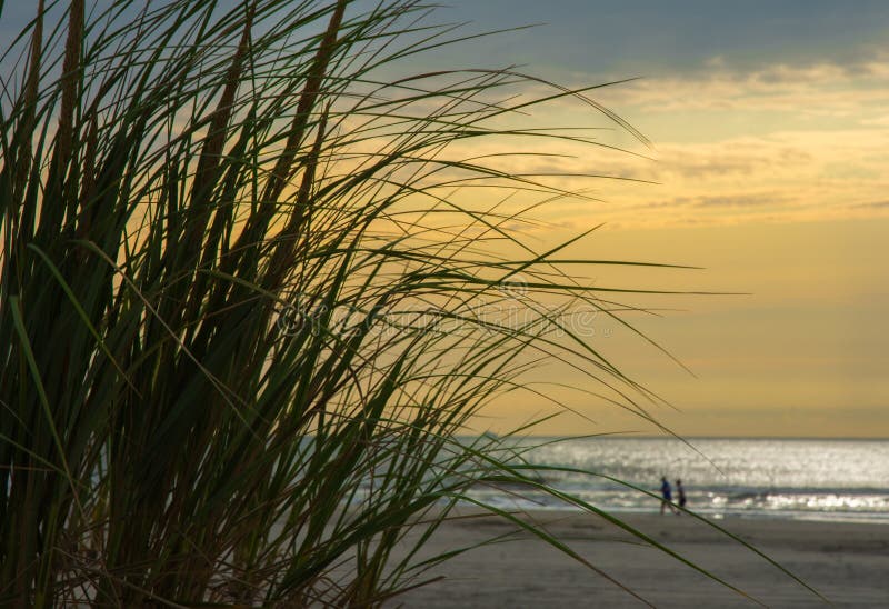 Short Point Beach in Australia Stock Photo - Image of holiday ...
