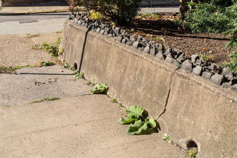 Short Retaining Wall Alongside a Concrete Sidewalk Topped with Dark ...