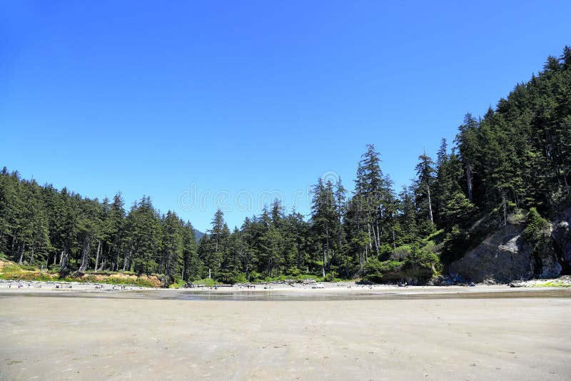 138 Photos Short Beach Oregon Stock Photos - Free & Royalty-Free Stock ...