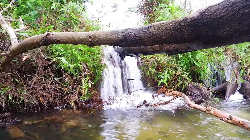 Short Waterfall Flow in a Freshwater River Stock Video - Video of ...