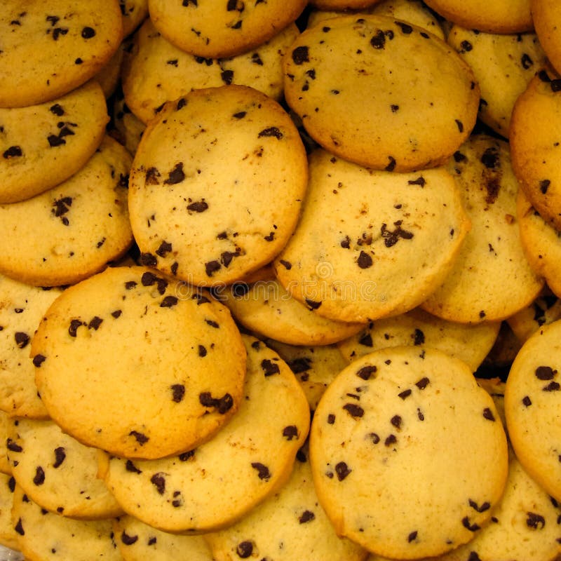 Shortbread Biscuits with Chocolate Nuggets Stock Image - Image of ...