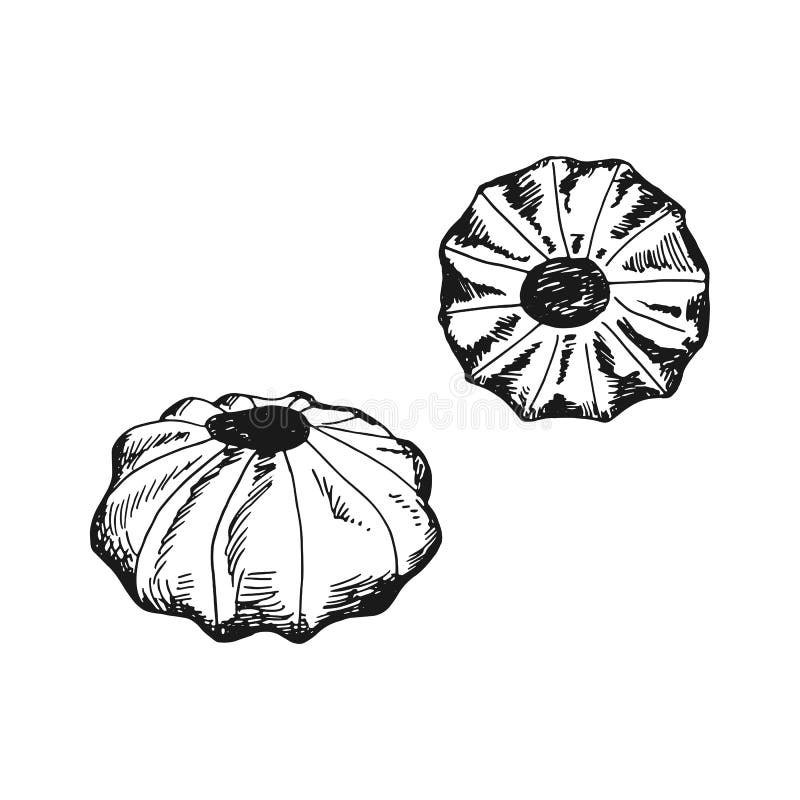 Shortbread Stock Illustrations – 2,021 Shortbread Stock Illustrations ...