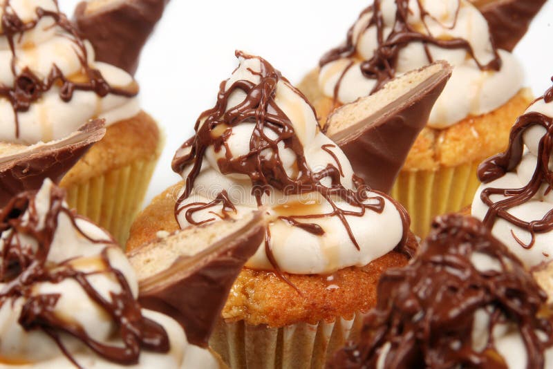 Shortbread Cupcakes stock photo. Image of snack, muffin - 63805360