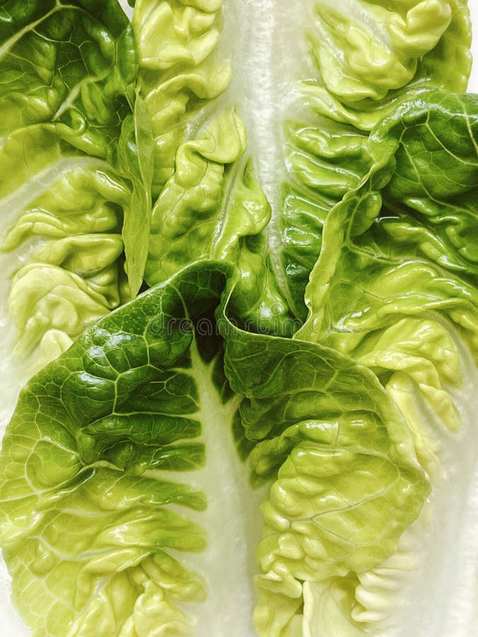 Shot from Above of a Lettuce Leaves Stock Photo - Image of nutrition ...