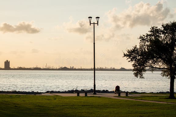 Thinker stock image. Image of pondering, light, grass - 323510127