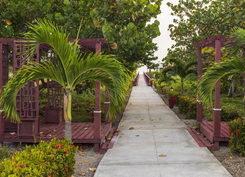 Shot of the Alley in the Garden. Outdoors Stock Image - Image of ...