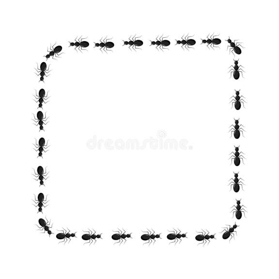 Insect Tracks Stock Illustrations – 17 Insect Tracks Stock ...