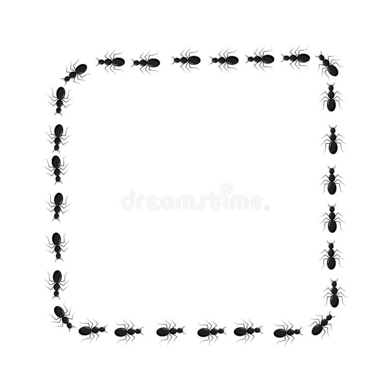 A Shot of Ants Walking in a Square. the Path of the Ants in the Square ...