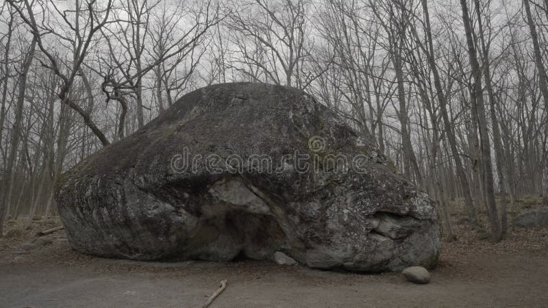Shot of a Big Rock in the Middle of a Forest. Stock Footage - Video of ...