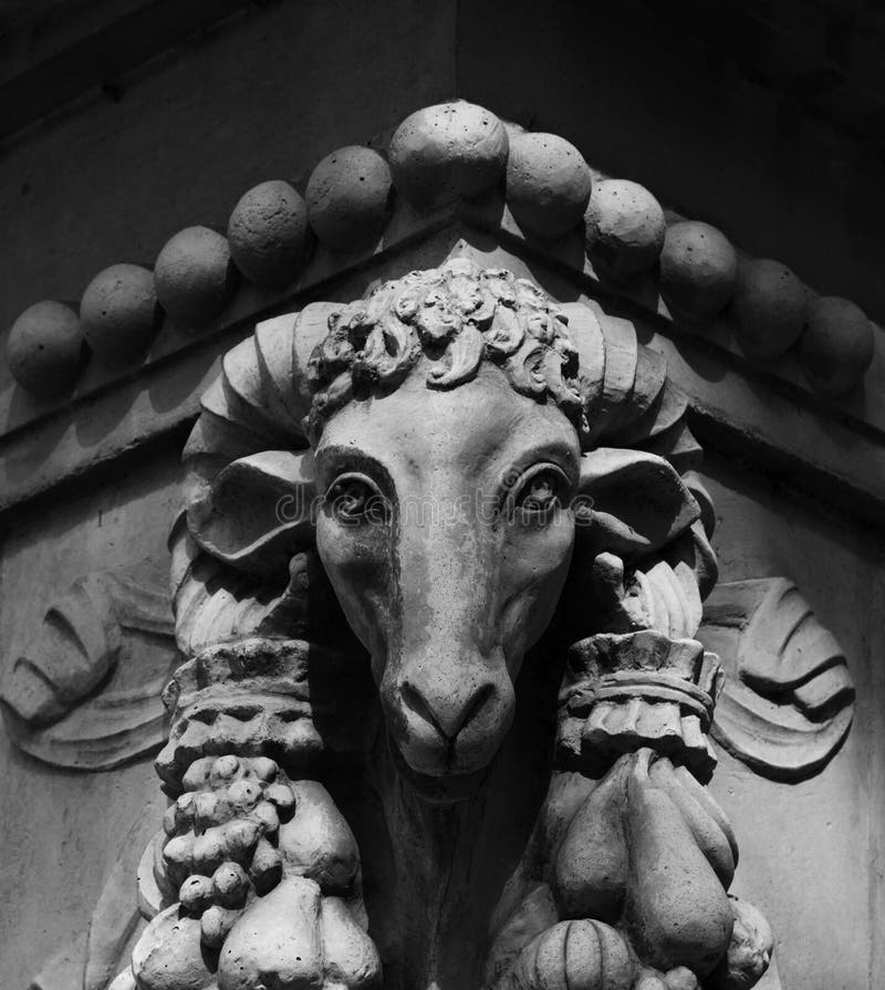 RamÂ´s head with braids stock photo. Image of decoration - 119405512