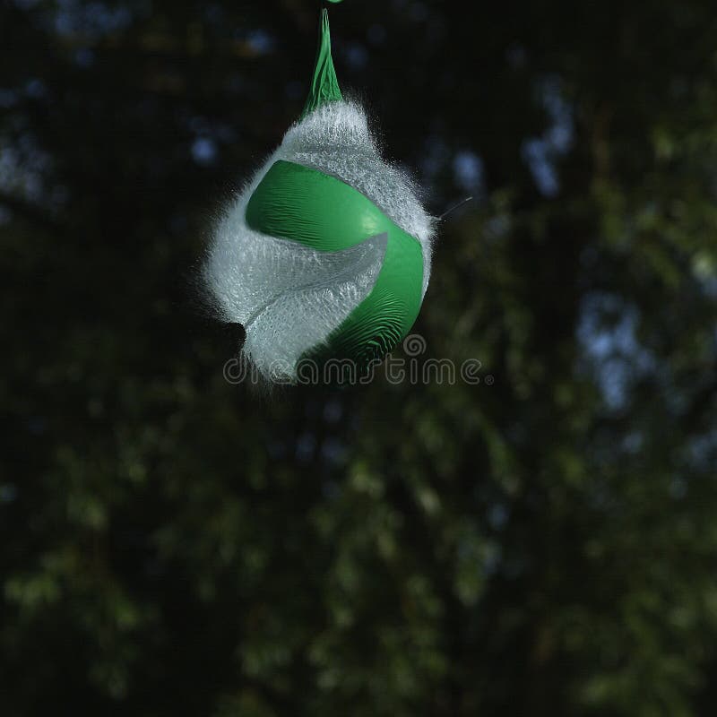 Shot Breaking Water Filled Green Balloon Stock Photo - Image of ...