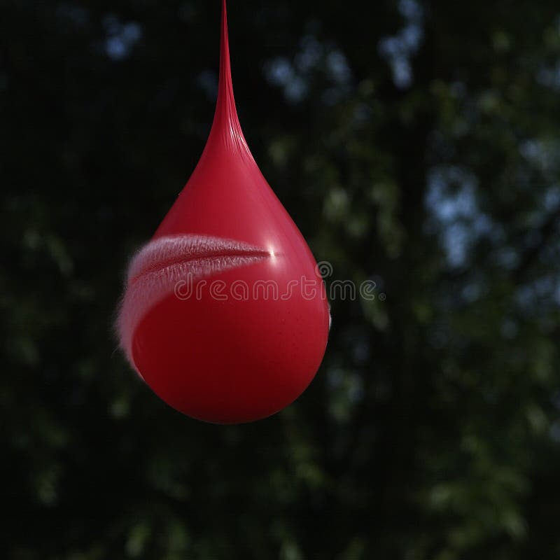 Shot Breaking Water Filled Red Balloon Stock Photo - Image of life ...