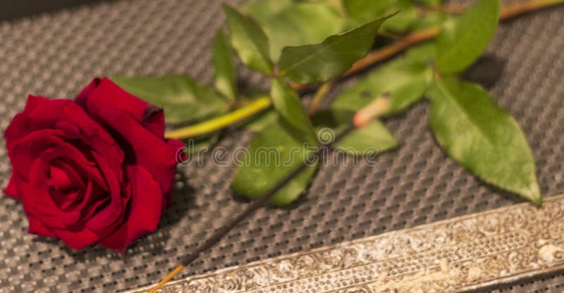 Shot of a Burning Aroma Stick and the Rose on the Table. Concept Stock ...