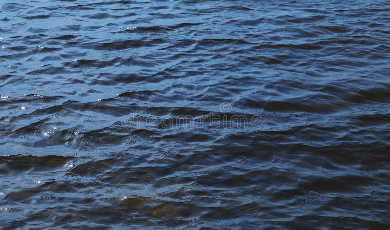 Texture of river water stock photo. Image of bright, nature - 24609308