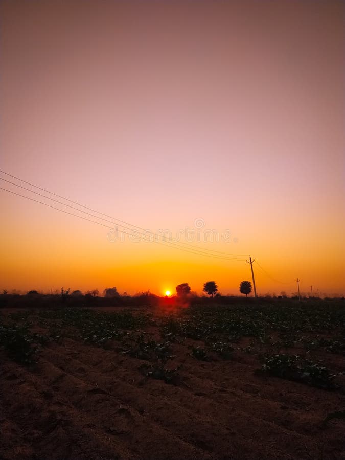 A Shot of Colourful Sunset with Trees and Power Line Stock Image ...