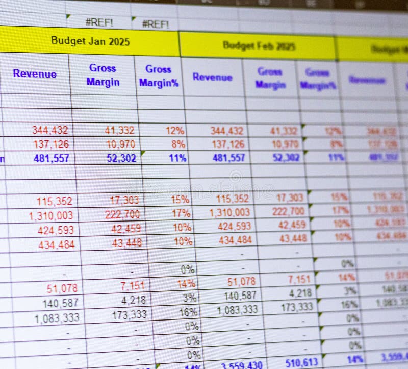 Shot of a Computer Screen Showing Excel Table with Company Budget Open ...