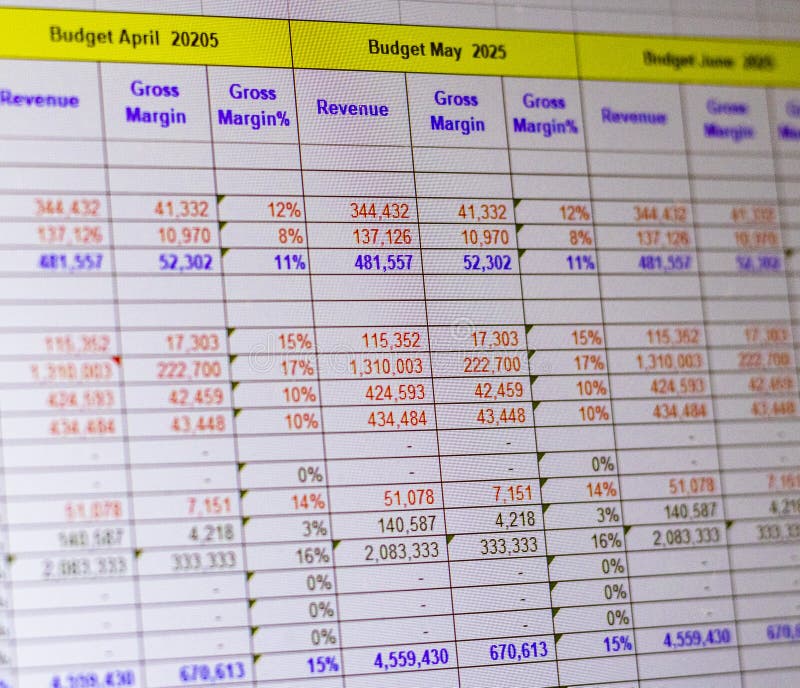 Shot of a Computer Screen Showing Excel Table with Company Budget Open ...
