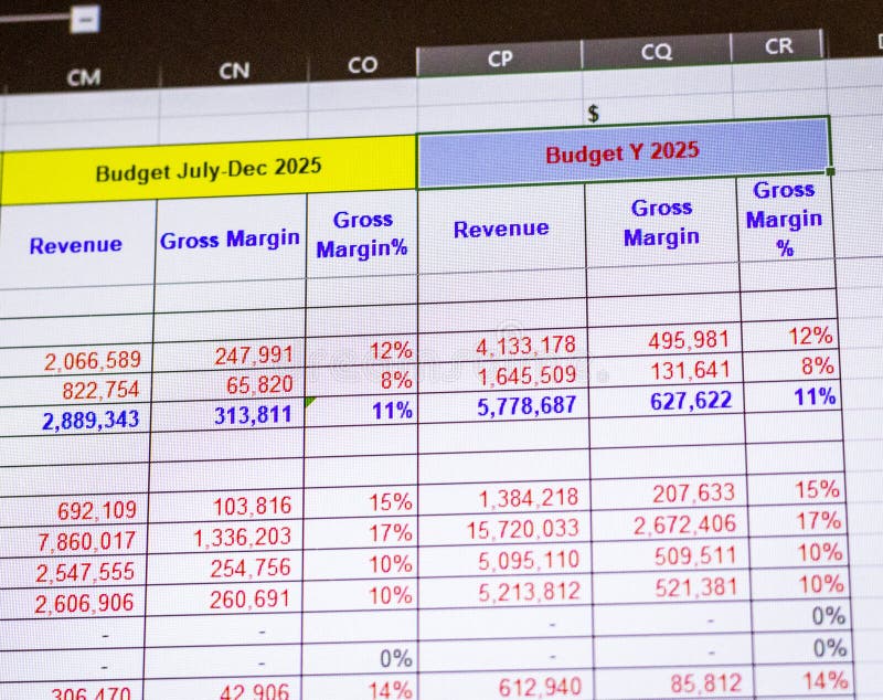 Shot of a Computer Screen Showing Excel Table with Company Budget Open ...