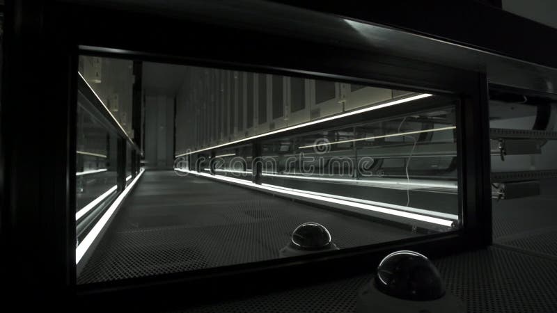 Shot of Corridor in Working Data Center Stock Video - Video of science ...