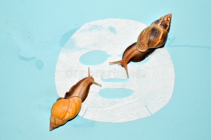 Cosmetic Face Mask with Extract of Snail Slime and a Snails on a Face ...