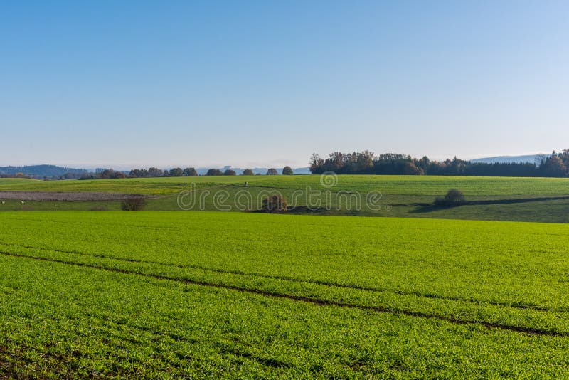 Shot of a Cultivated Green Land Stock Image - Image of view, rural ...