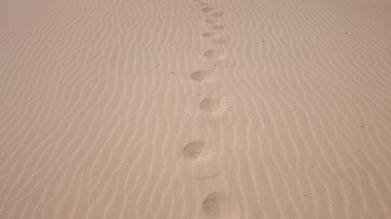 Shot of a Desert with Footsteps and Stripes on it in the Daytime Stock ...