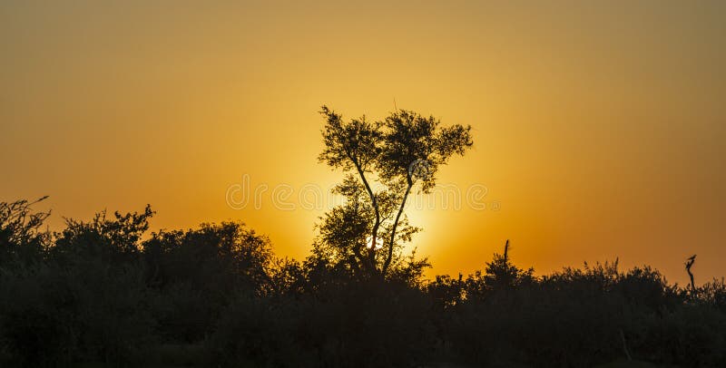 Shot of a Dramatic Sunset in the Park. Outdoors Stock Photo - Image of ...