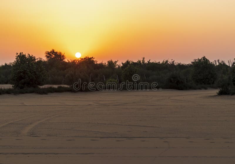 Shot of a Dramatic Sunset in the Park. Outdoors Stock Photo - Image of ...