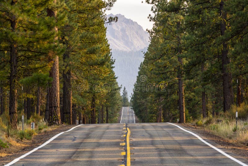 Empty road stock photo. Image of lines, empty, calmness - 124450826