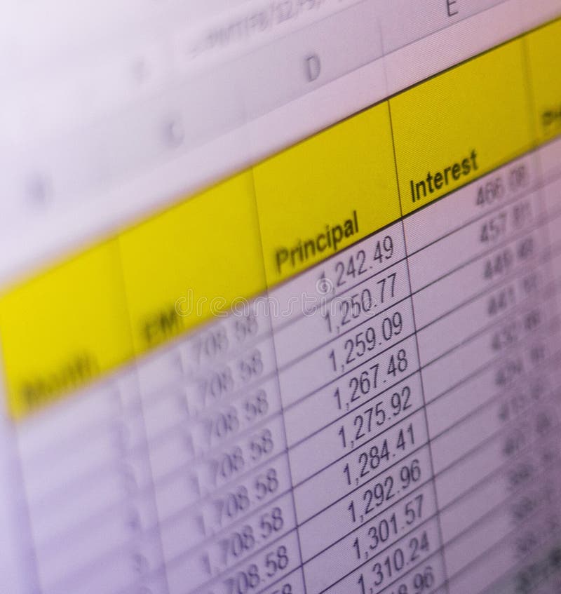 Shot of an Excel Sheet on Computer Screen Showing Bank Loan ...