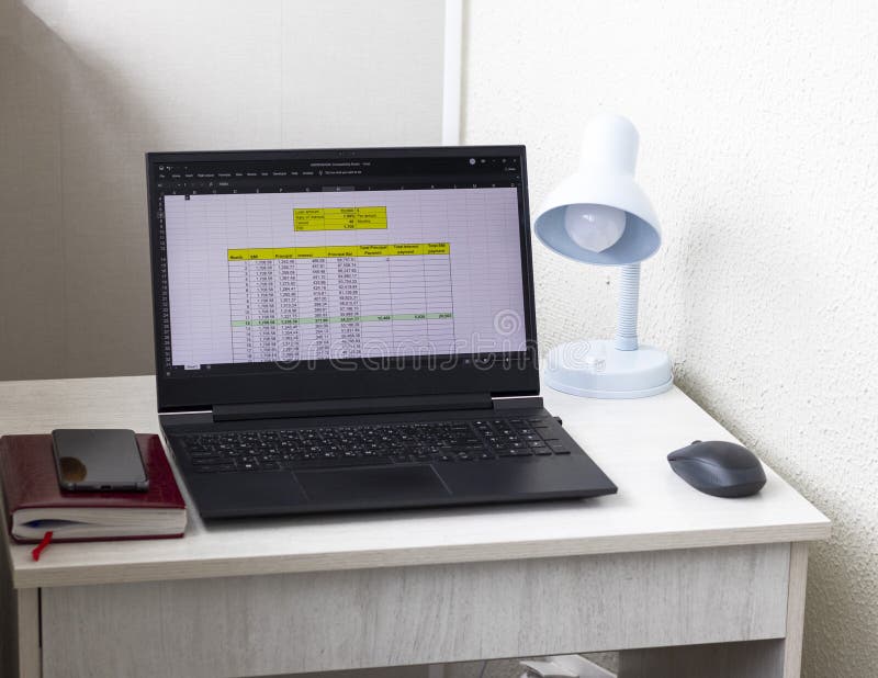 Shot of an Excel Sheet on Computer Screen Showing Bank Loan ...